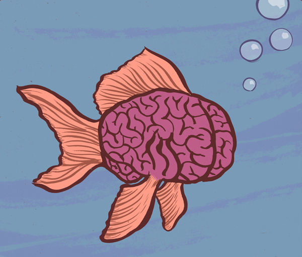 Lots More Common Misconceptions - The Coffee Shop